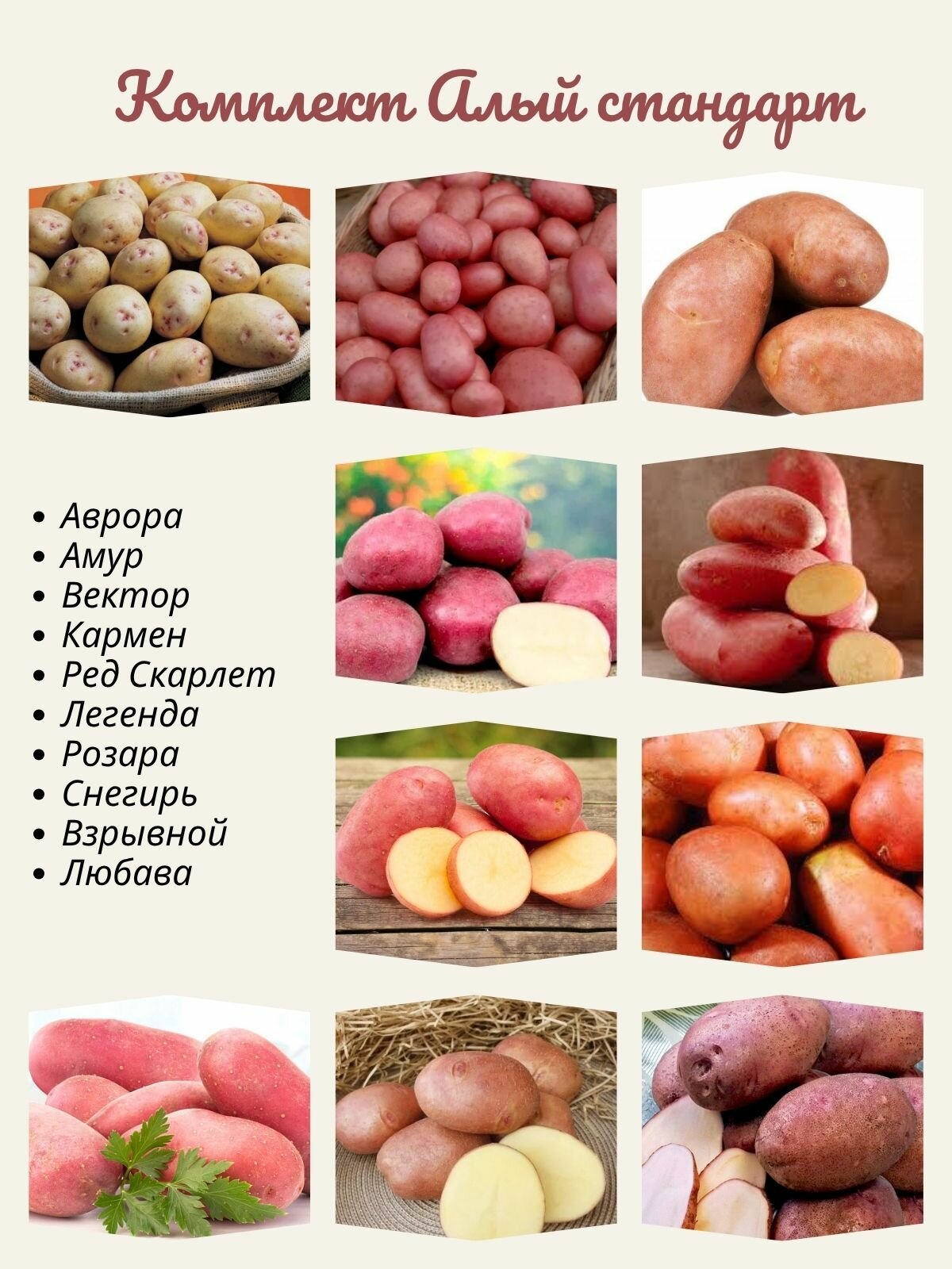 Комплект картофеля из 10 сортов "Алый стандарт" 5 кг