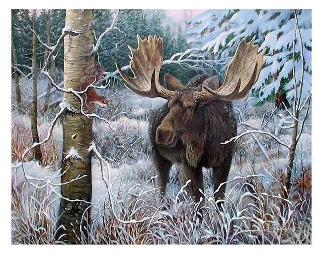 Алмазная мозаика на подрамнике/Картина стразами/ Алмазное хобби "Лось в зимнем лесу" 40х50 см, сложность 5, цветов 22/ Komas