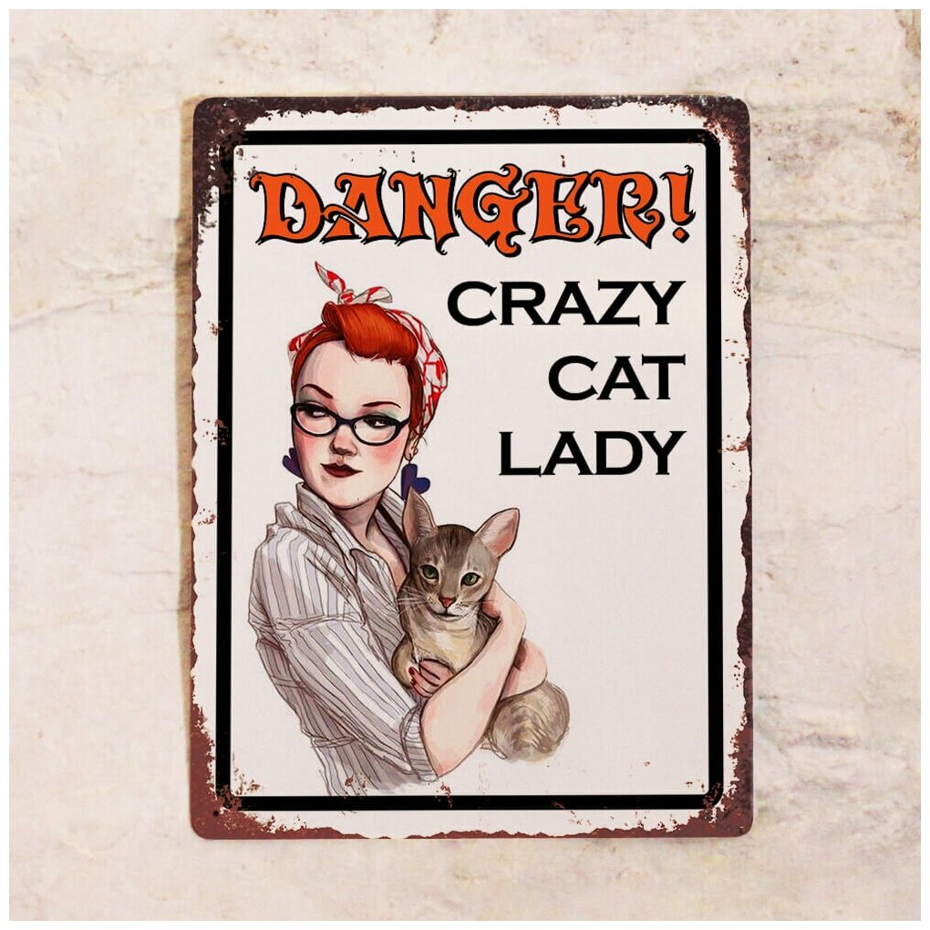 Жестяная табличка DANGER - Crazy Cat Lady, металл, 20х30 см