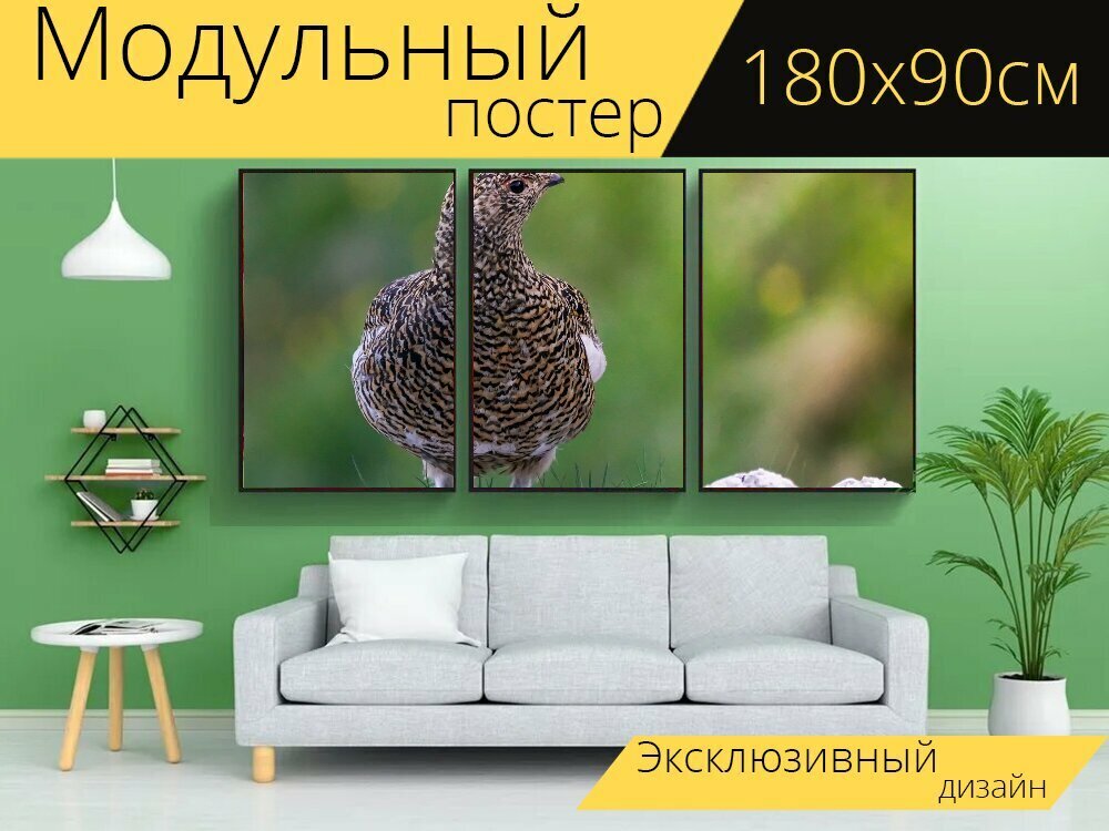 Модульный постер "Птица, куропатка, животное" 180 x 90 см. для интерьера