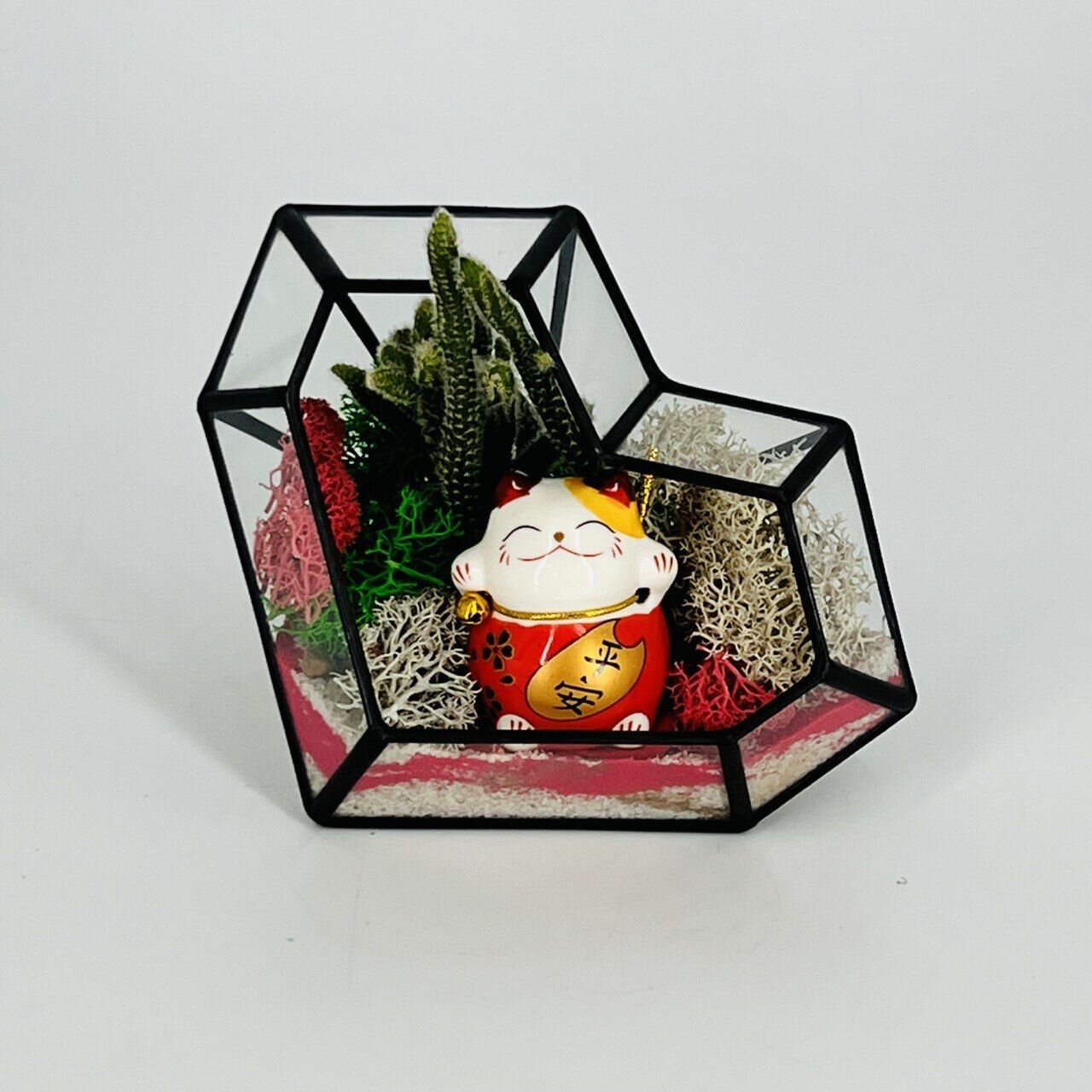 Флорариум сердце бриллиант с кактусом