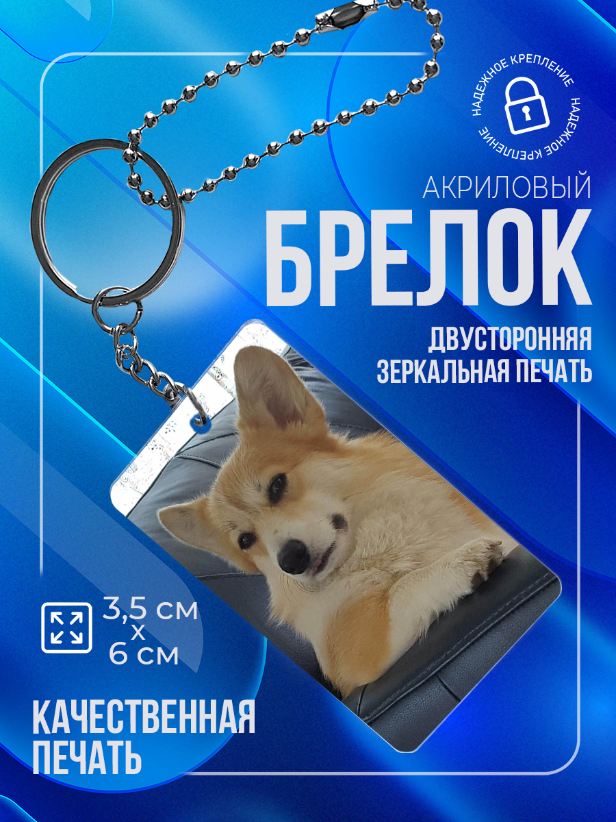 Брелок PNP