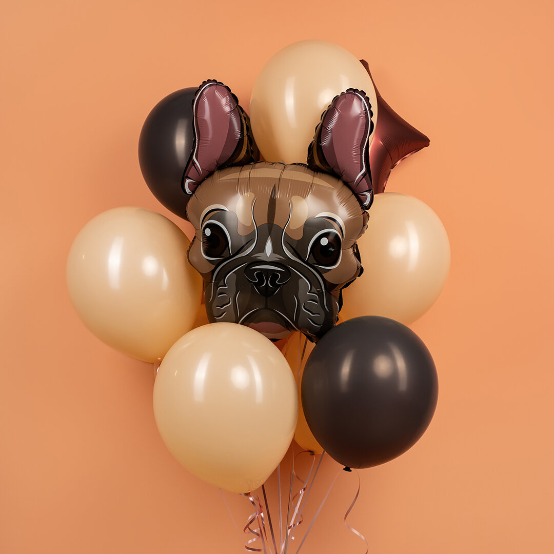 Воздушный фонтан из 10 шаров с гелием Бульдог