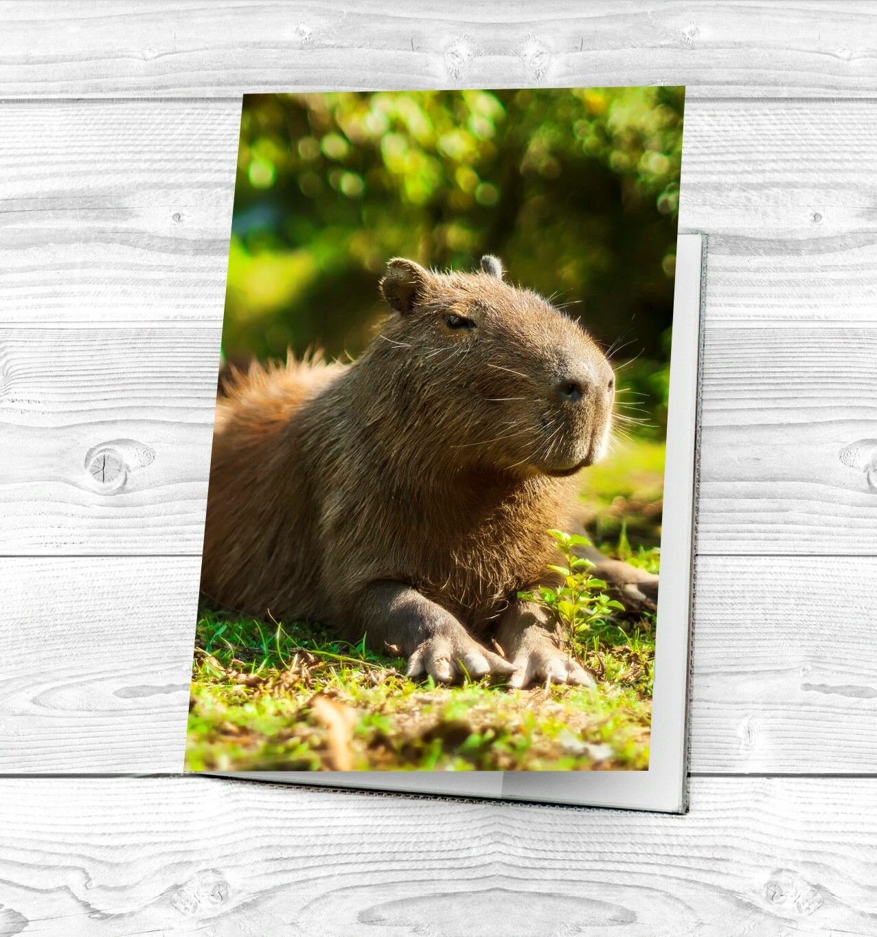 Картхолдер