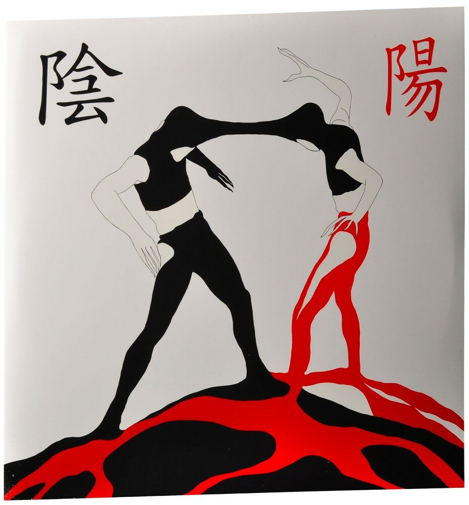 Виниловая пластинка Animal ДжаZ. Инь / Ян (2 LP, винил, серебряный) (Картонный конверт)