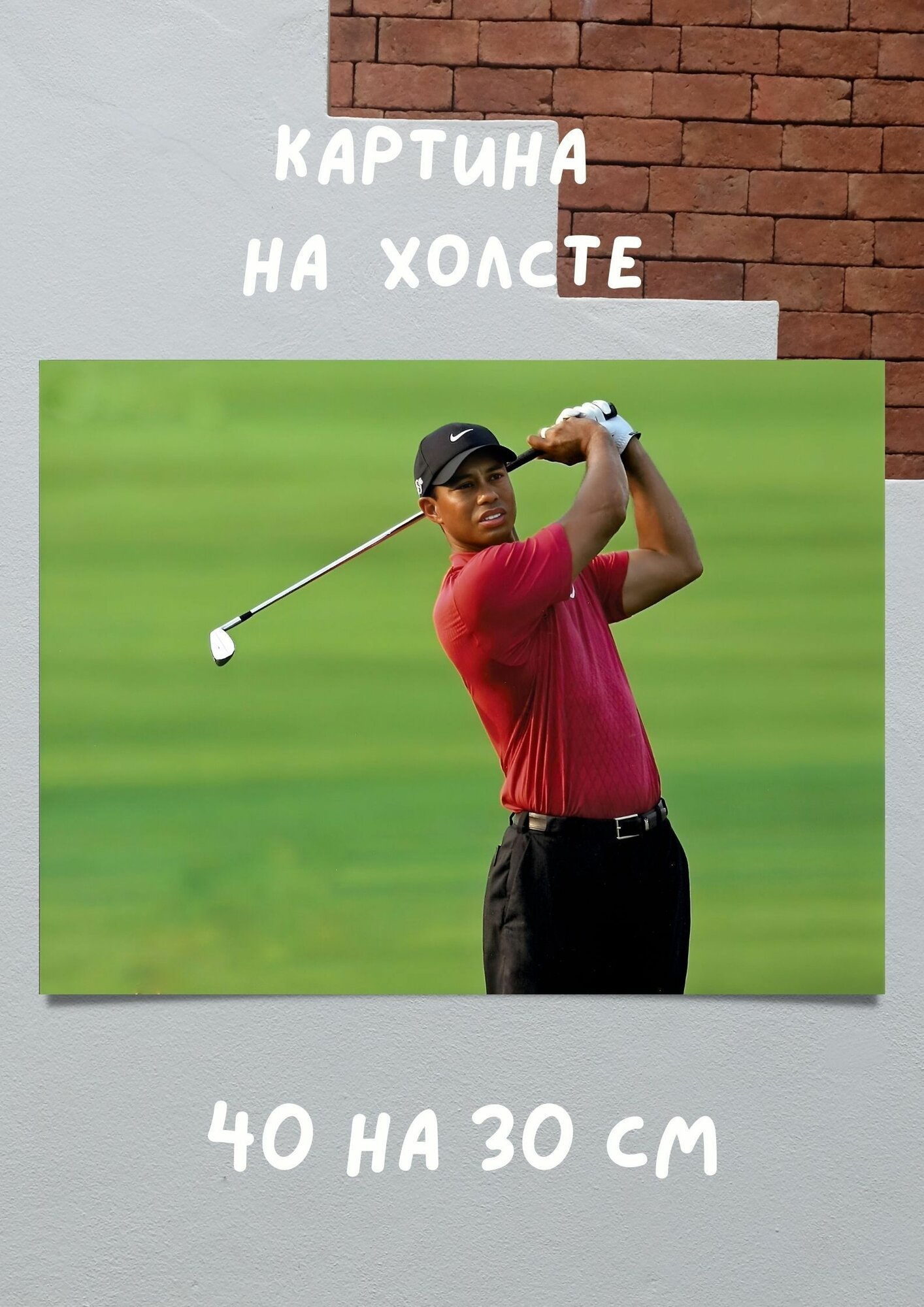 Картина великий игрок в гольф "Тайгер Вудс Tiger Woods" на холсте для интерьера