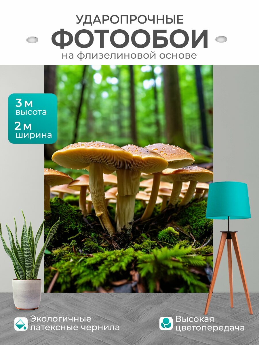 Фотообои моющиеся ударопрочные "Грибы лес, грибные полянки под сенью высоких деревьев, мелкие детали грибов, такие как капли росы и насекомые, игра света и тени" 200x300 см. флизелиновые на стену