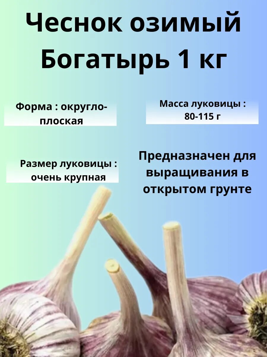 Чеснок Озимый Богатырь 1кг