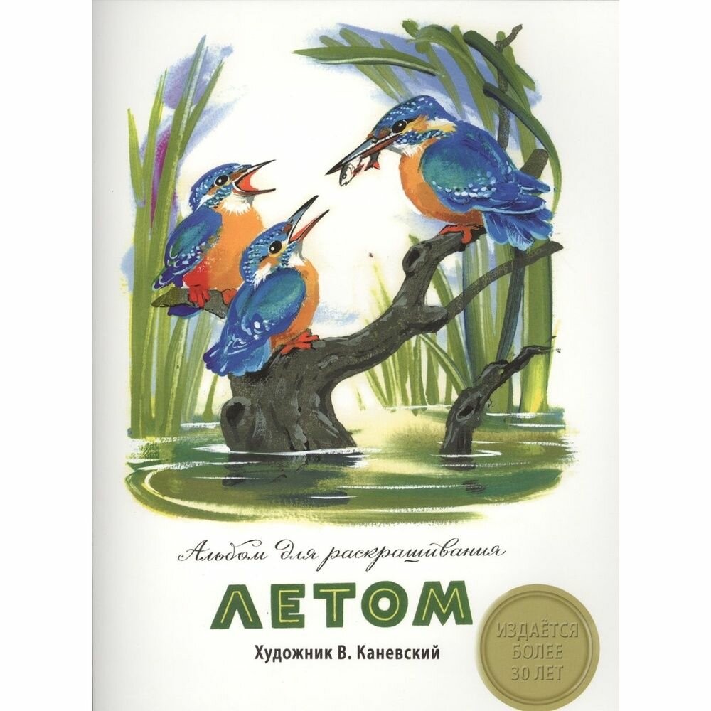 Раскраска Стрекоза Альбом для раскрашивания. Летом. Художник В. Каневский