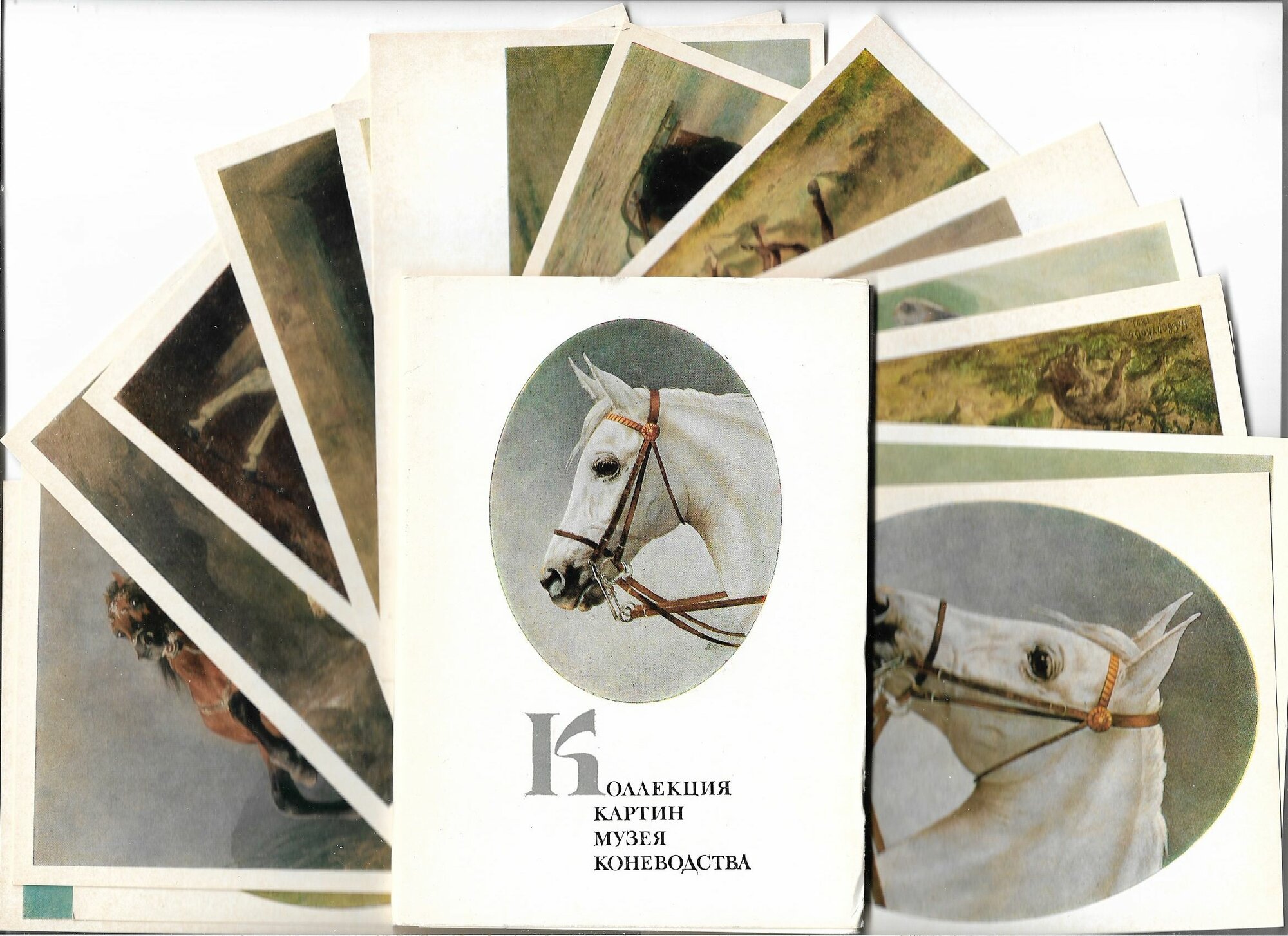 Набор открыток СССР. 1973 год. Выпуск 2. Коллекция картин музея коневодства. Малотиражные! Комплект -16 открыток