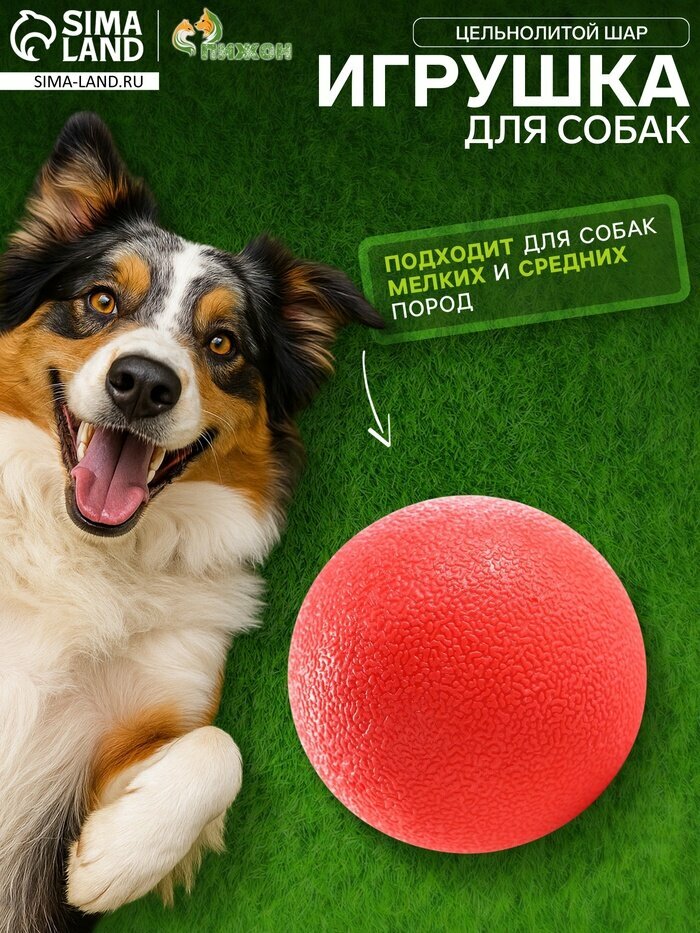 Игрушка "Цельнолитой шар" большой, 7 см, каучук, красный 7824027