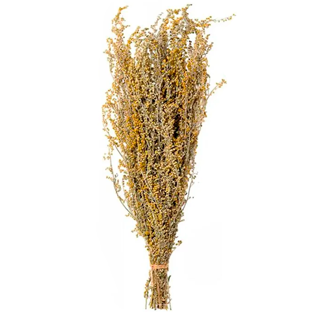 Пучок травы "Полынь"