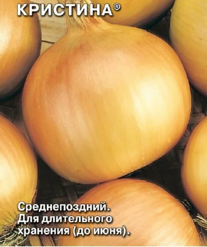 Коллекционные семена лука репчатый Кристина