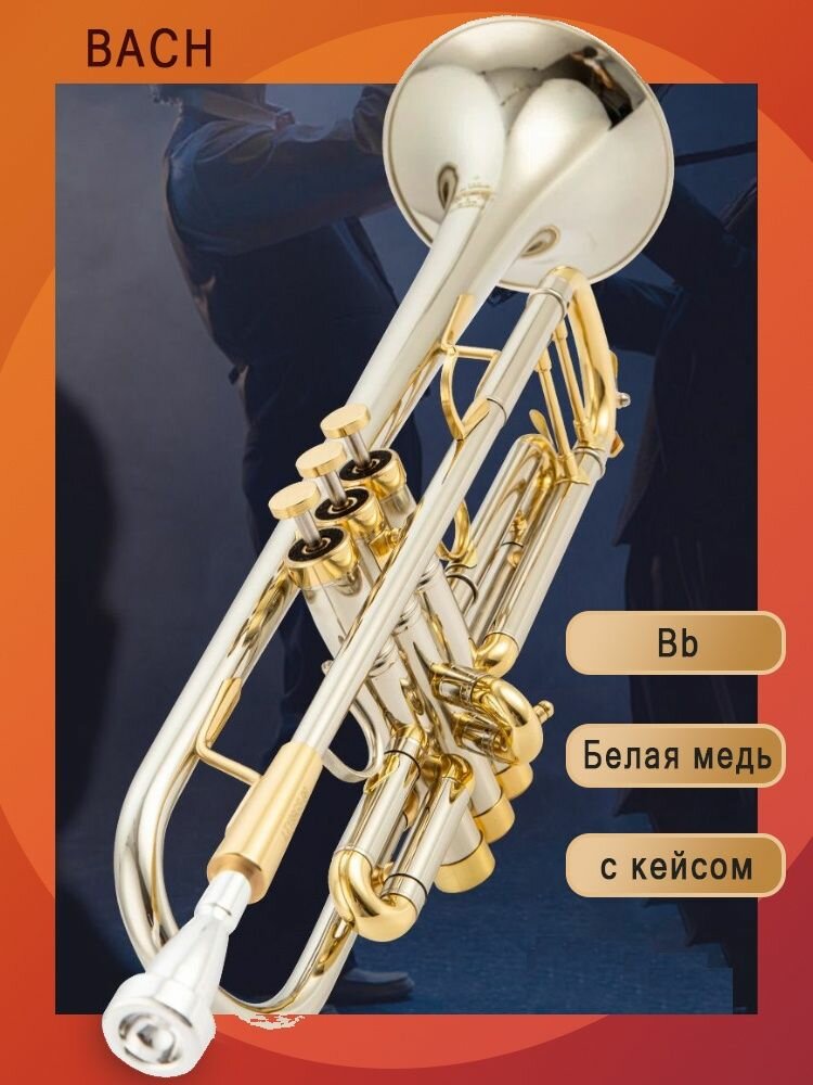Труба Bach LT198GS-99 си-бемоль Двойное серебрение и позолота Гипоаллергенная Долговечный блеск