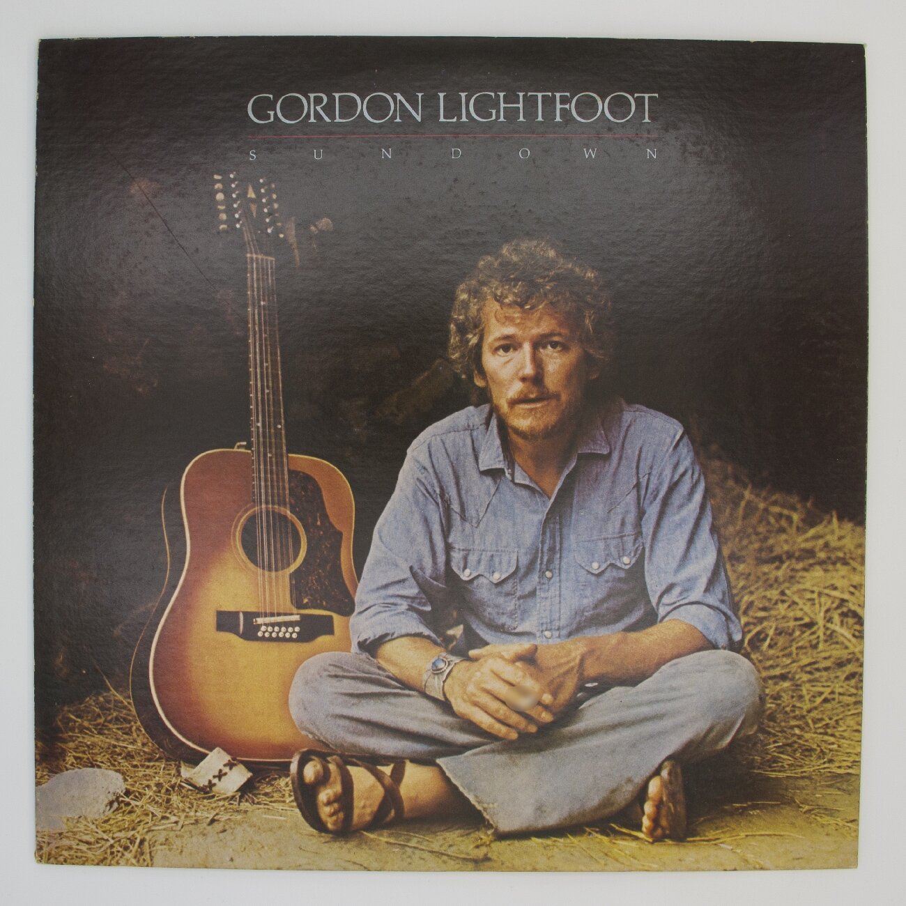 Виниловая пластинка Gordon Lightfoot - Sundown, 1xLP, EX
