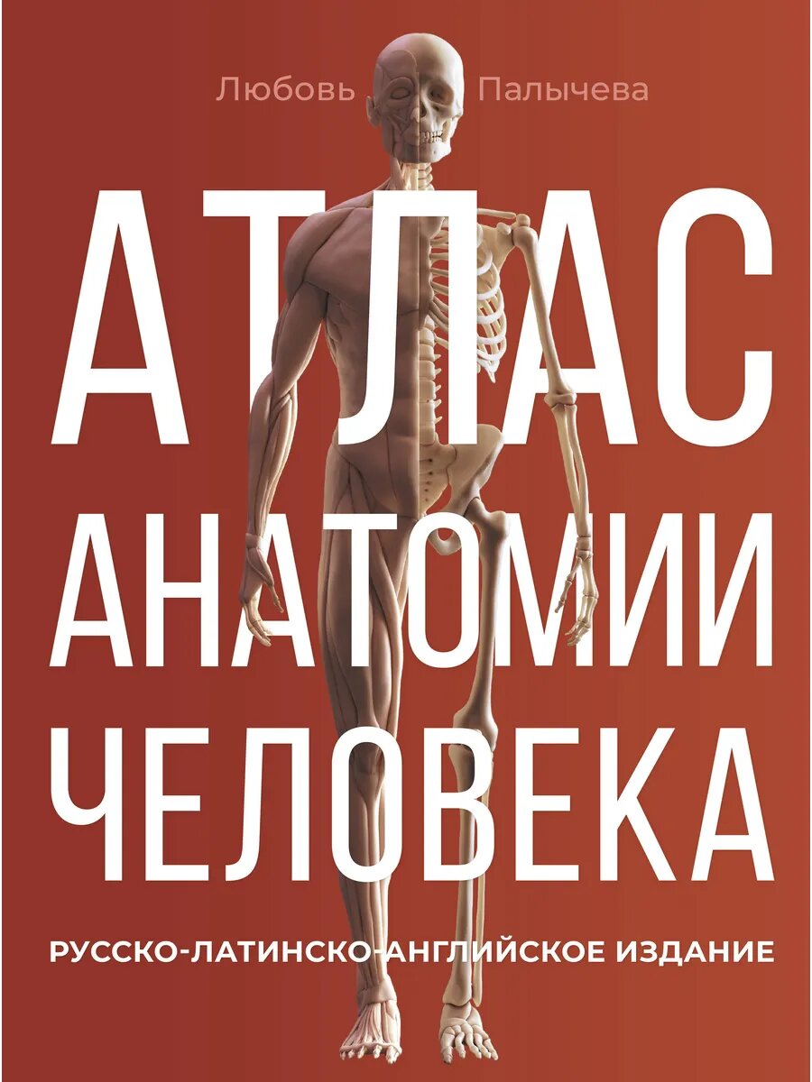 Книга Атлас анатомии человека. Русско-латинско-английское из