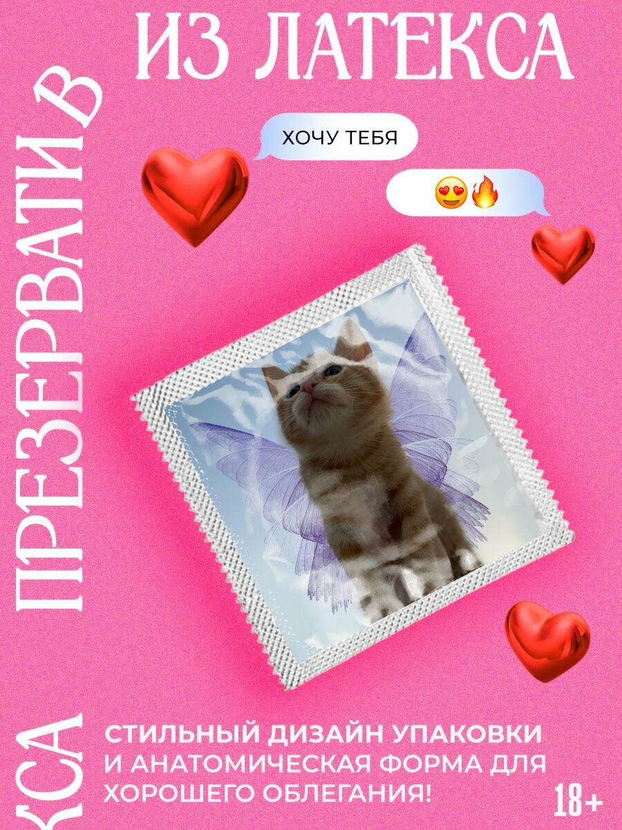 Презервативы, 18+, Котики