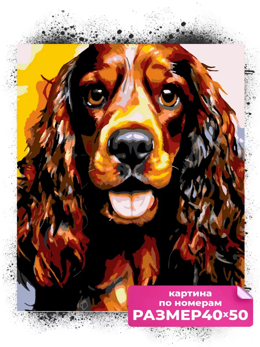 Картина по номерам "Спаниель" 40x50 см, холст на подр, акрил, 3 уровень сложности