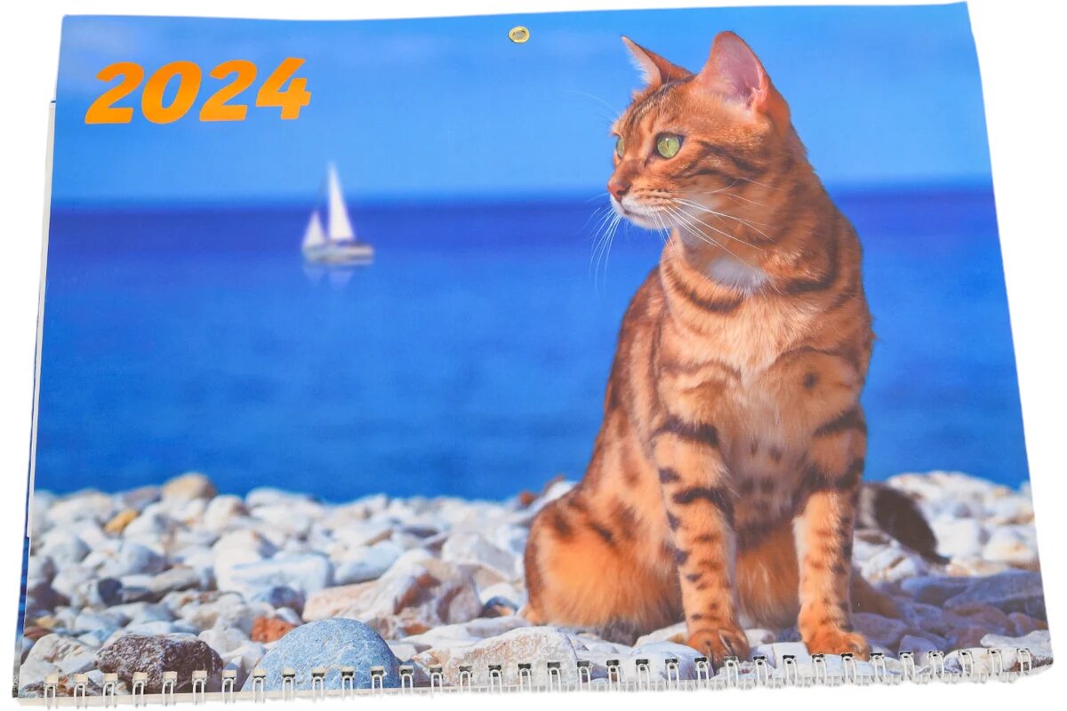 ND Play Календарь квартальный Кот и море маркет на 2024 год 308775