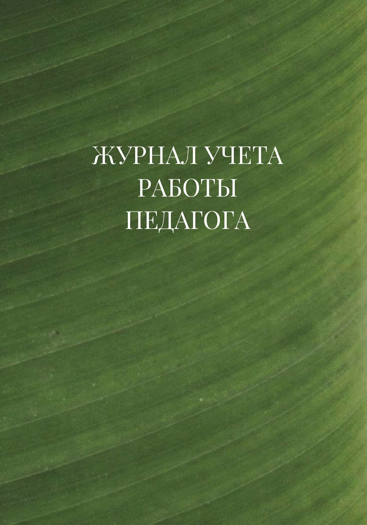 Журнал учета работы педагога дополнительного образования