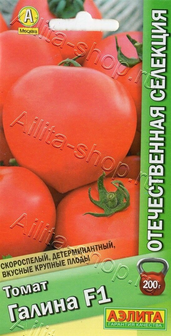 Томат Галина F1. семена (3 упаковка)