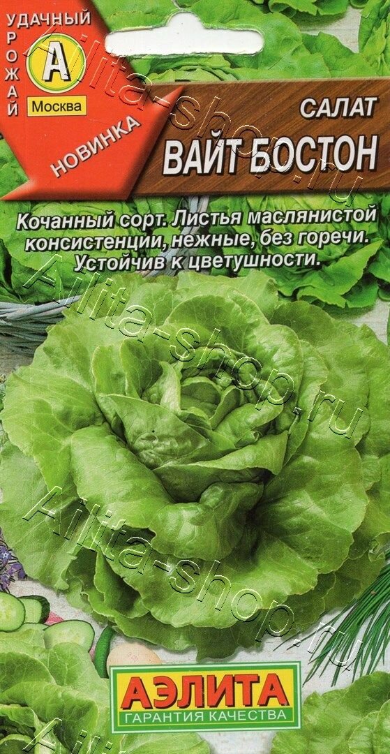 Салат кочанный Вайт бостон (3 упаковки), семена