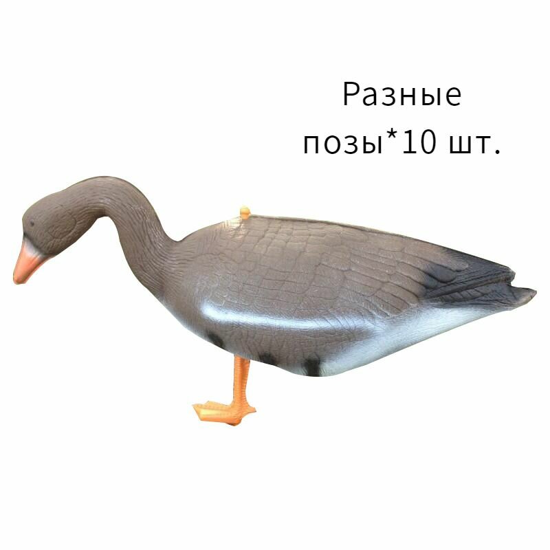 Приманка для охоты/10 шт. — фото 1