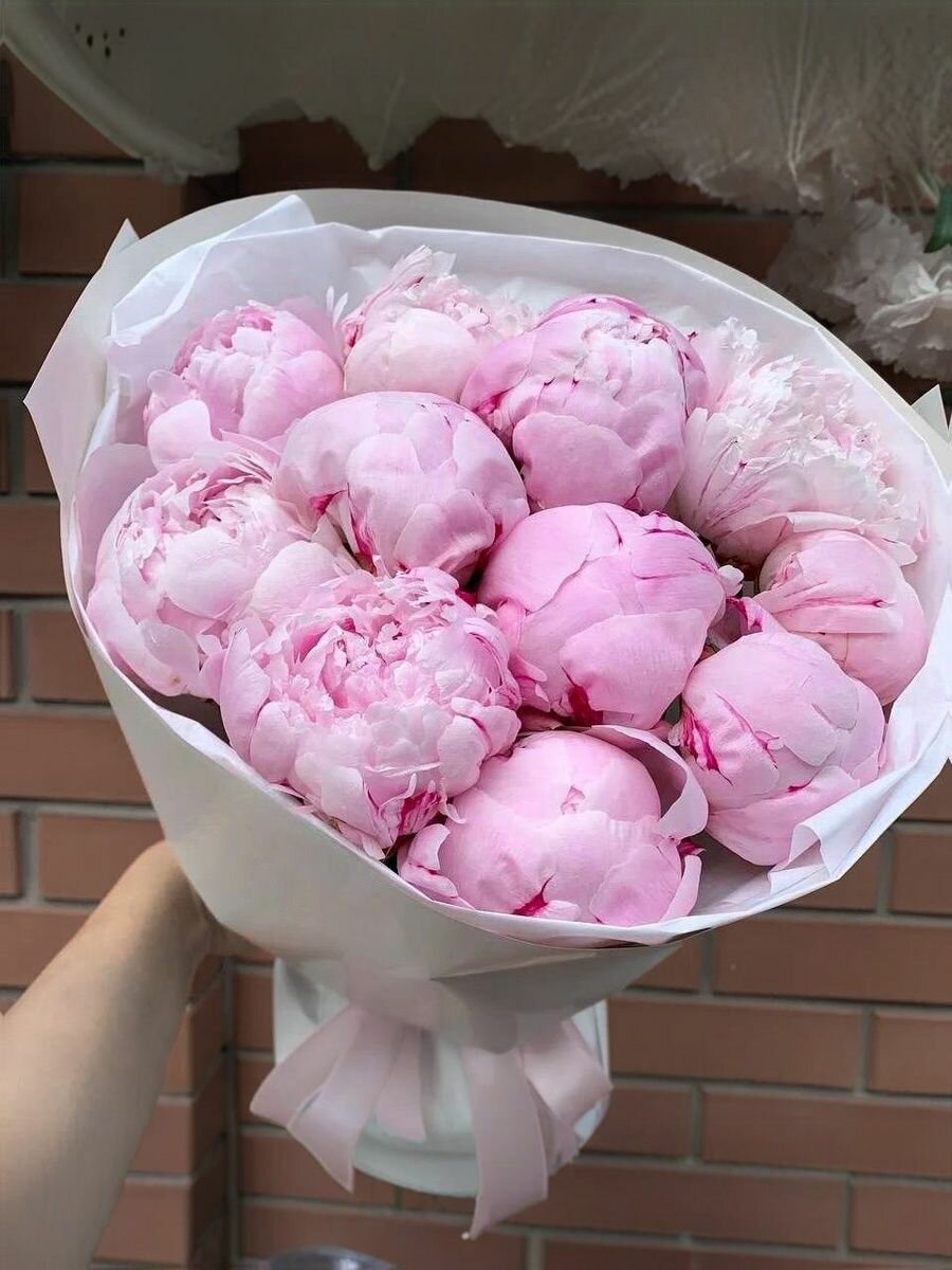 Букет из 11 розовых голландских пионов