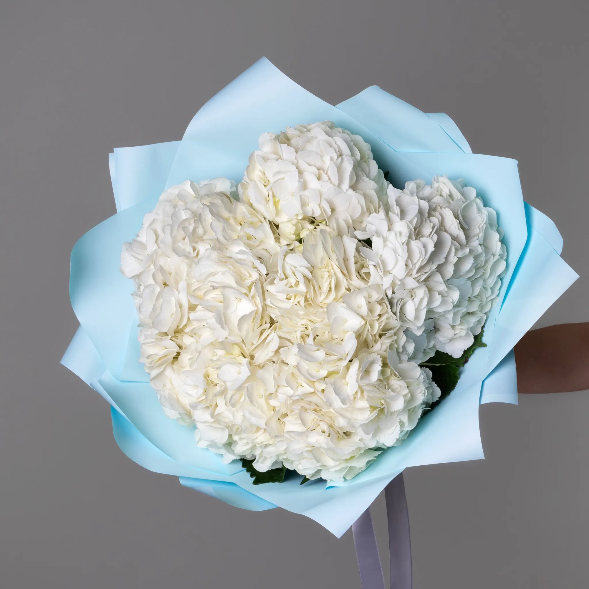 Букет Гортензия "Скай Вайт" 7 шт Высота 60 см в коробке и аквабоксе от "Простоцветы"