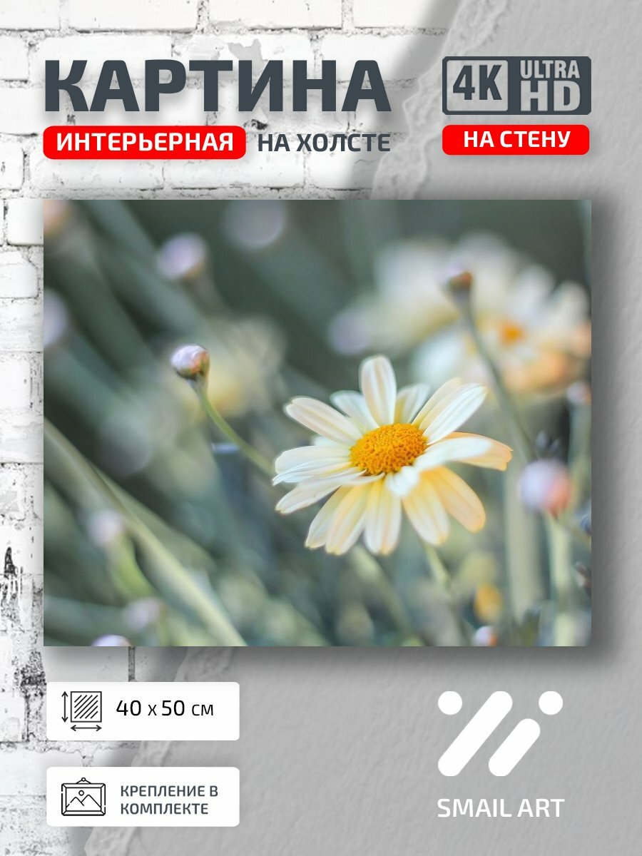 Картина на холсте интерьерная 40 на 50 на стену Ромашка Macro для гостиной макро интерьер