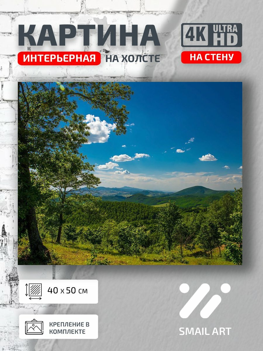 Картина на холсте интерьерная 40 на 50 на стену Зеленая Landscape для кафе пейзаж интерьер