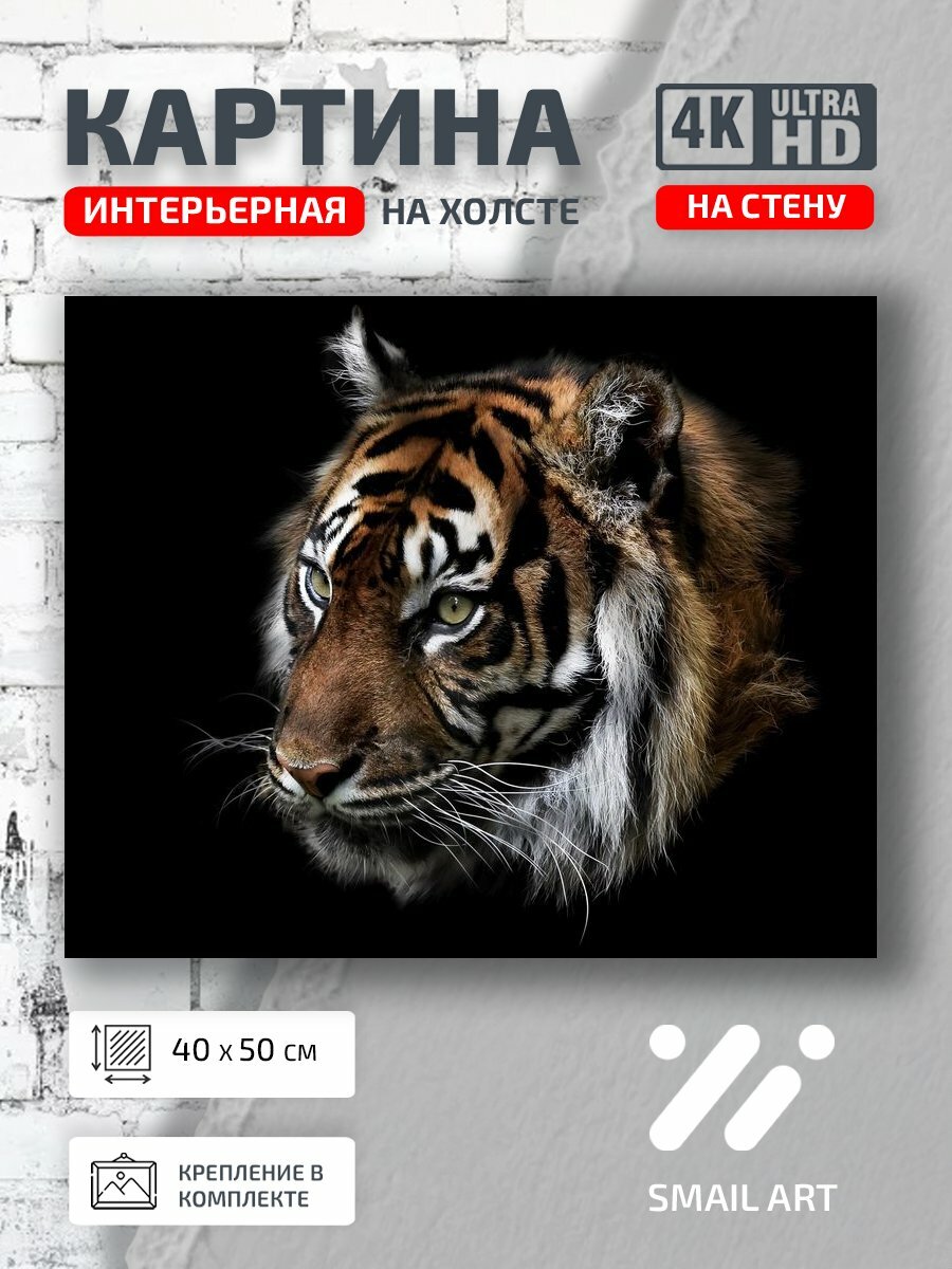 Картина на холсте интерьерная 40 на 50 на стену Фон Animal для гостиной animal style декор