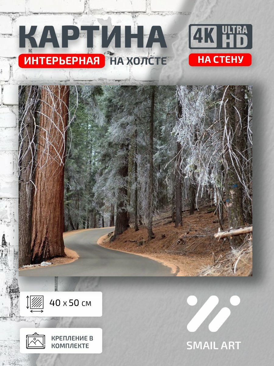 Картина на холсте интерьерная 40 на 50 на стену Дорога forest для кафе пейзаж интерьер