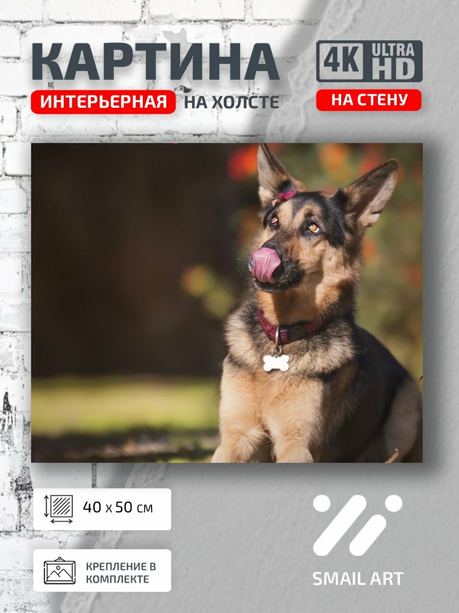 Картина на холсте интерьерная 40 на 50 на стену Язык Mood для спальни атмосфера интерьер