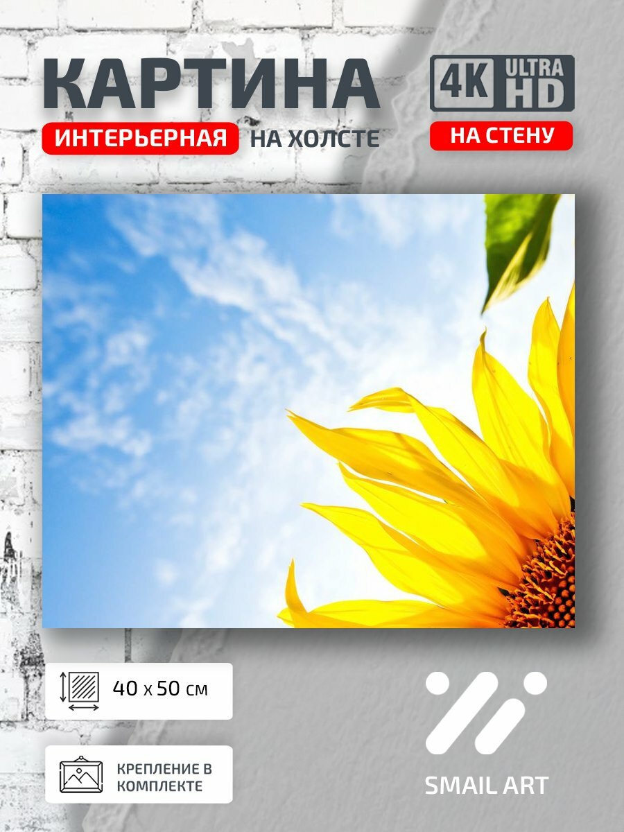 Картина на холсте интерьерная 40 на 50 на стену Облака Mood для студии атмосфера интерьер