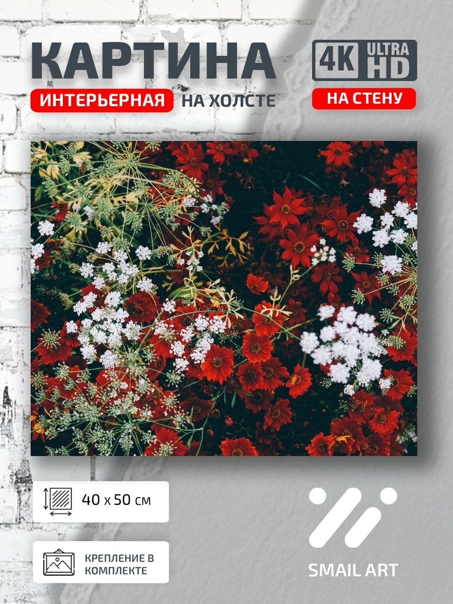 Картина на холсте интерьерная 40 на 50 на стену Красные Белые для кабинета атмосфера