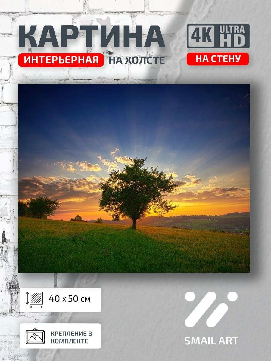 Картина на холсте интерьерная 40 на 50 на стену Одинокое дерево для спальни пейзаж
