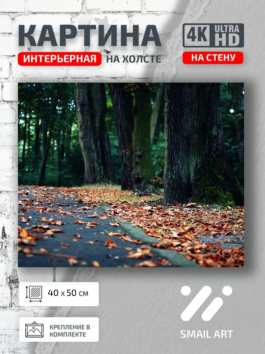 Картина на холсте интерьерная 40 на 50 на стену Осень Landscape для кабинета пейзаж декор
