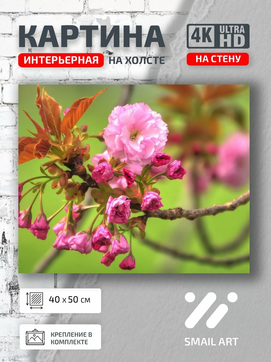 Картина на холсте интерьерная 40 на 50 на стену Дерево tree для кабинета пейзаж интерьер
