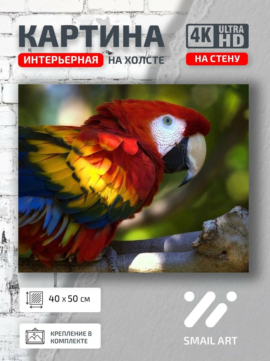 Картина на холсте интерьерная 40 на 50 на стену Птицы Попугай для спальни атмосфера