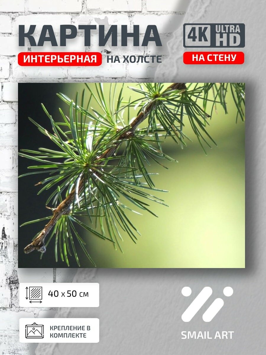 Картина на холсте интерьерная 40 на 50 на стену Макро Ветка для спальни атмосфера