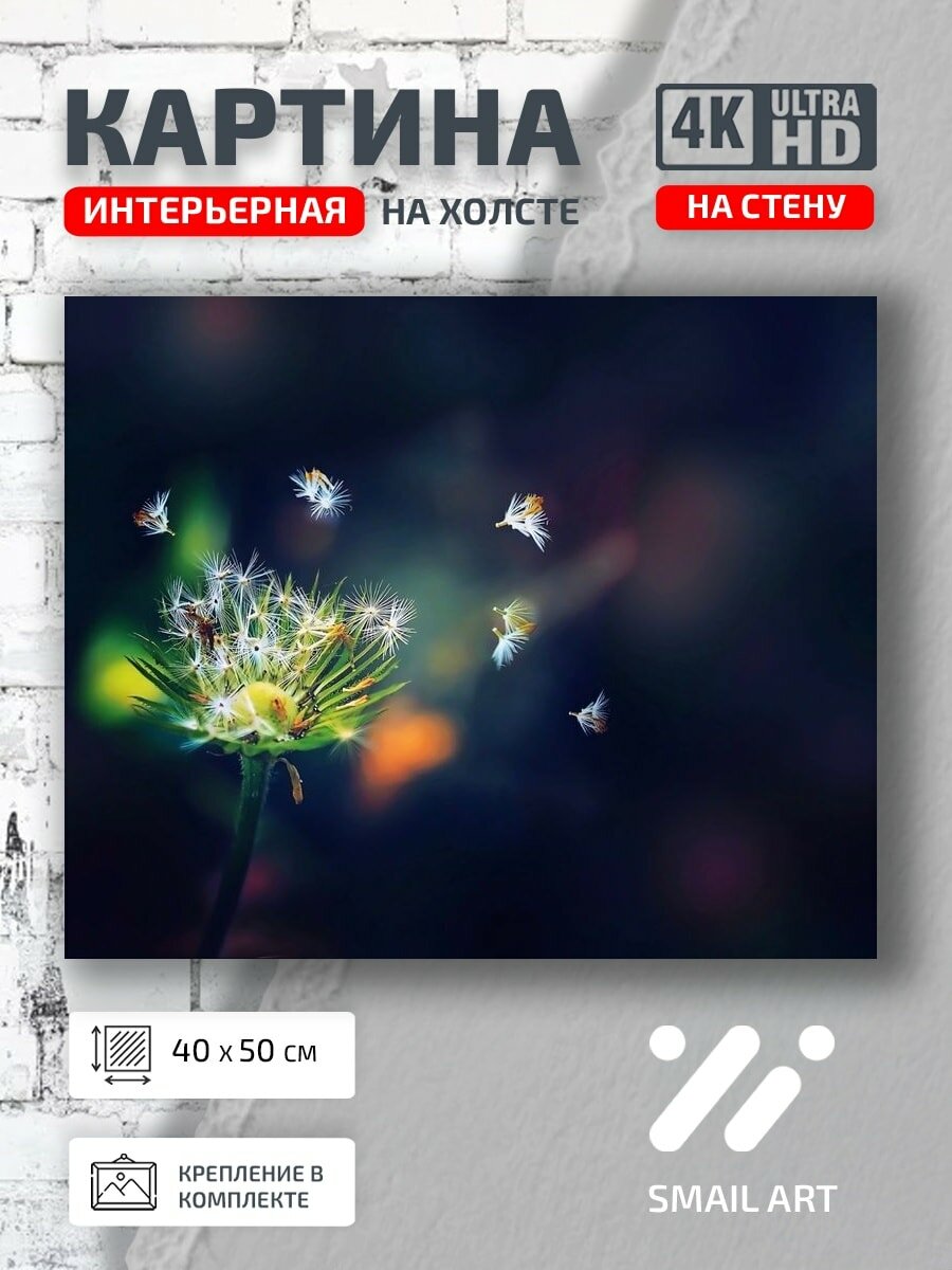 Картина на холсте интерьерная 40 на 50 на стену Макро Dandelions для гостиной animal style