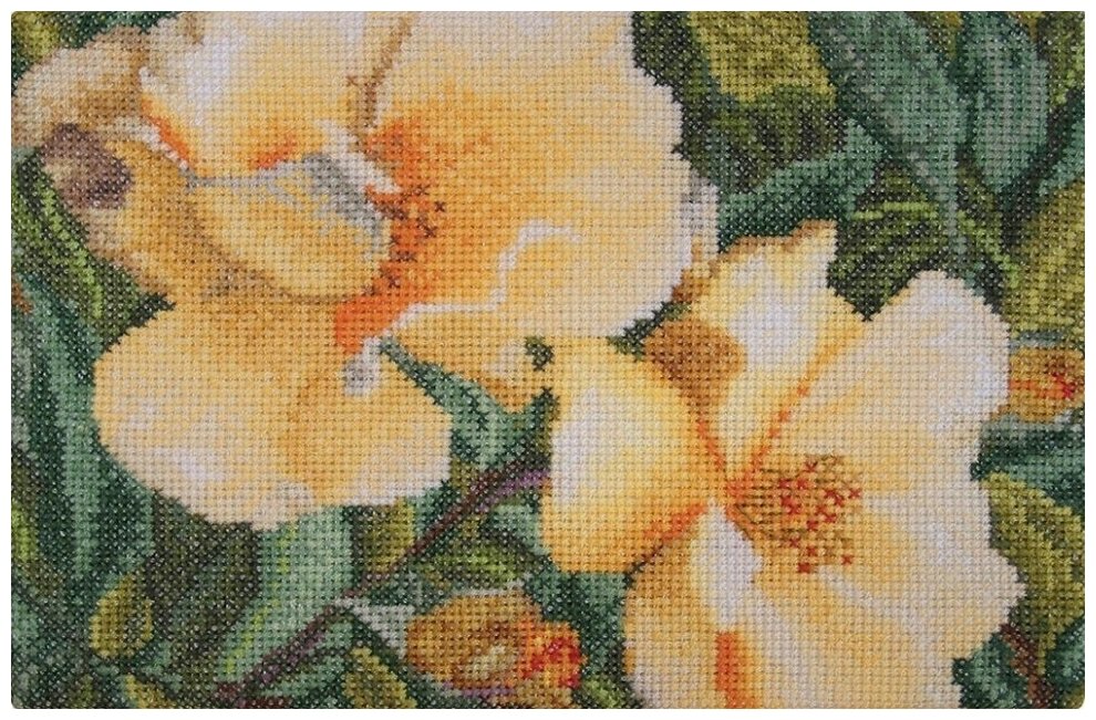 Набор для вышивания Thea Gouverneur #428A Rosa Hugonis (Роза Хьюгонис), Счетный крест, 18 x 12 см