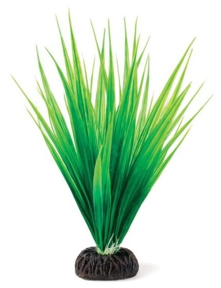 Растение Laguna "Сагиттария" зеленая, 250мм