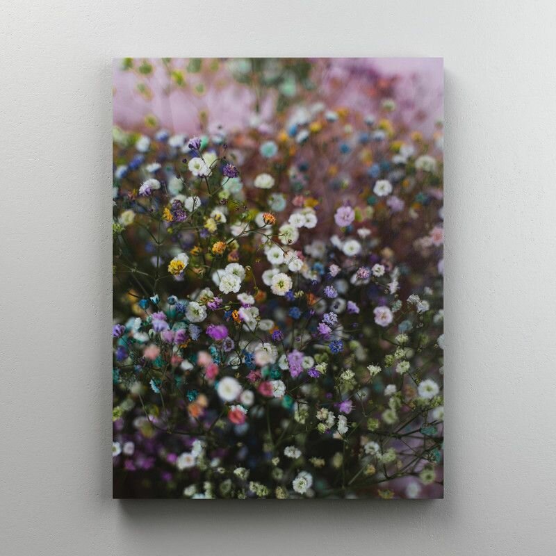 Интерьерная картина на холсте "Цветы и растения - разноцветна гипсофила" размер 22x30 см