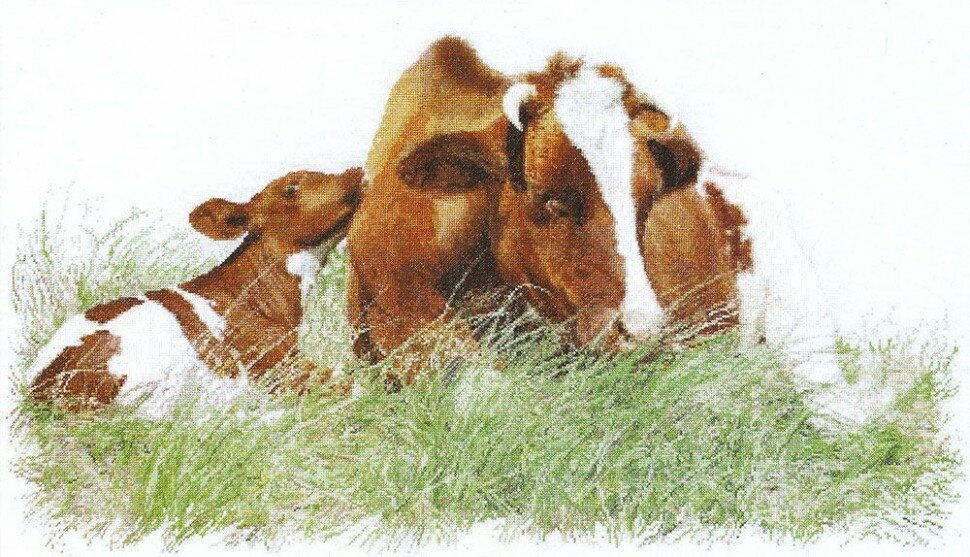 Набор для вышивания Thea Gouverneur #449 Red Cow (Рыжая корова), Счетный крест, 70 x 45 см