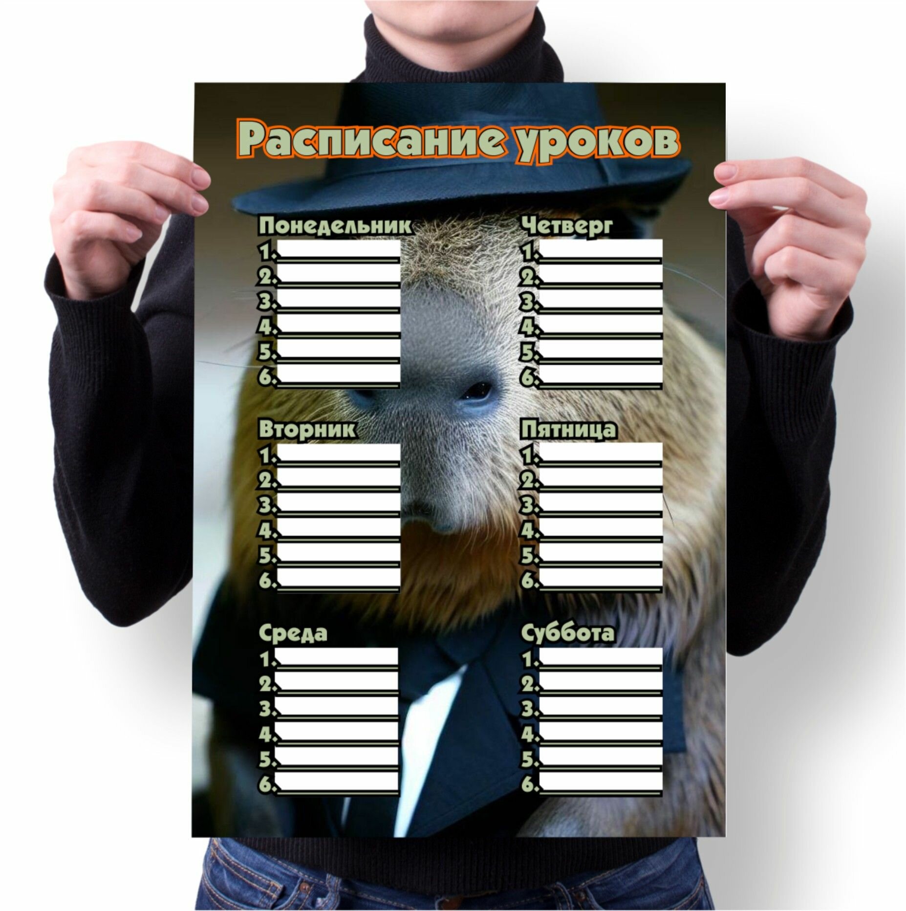Расписание уроков формата А4, с принтом "Капибара"