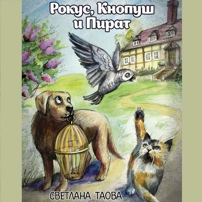 Рокус, Кнопуш и Пират [Аудиокнига]