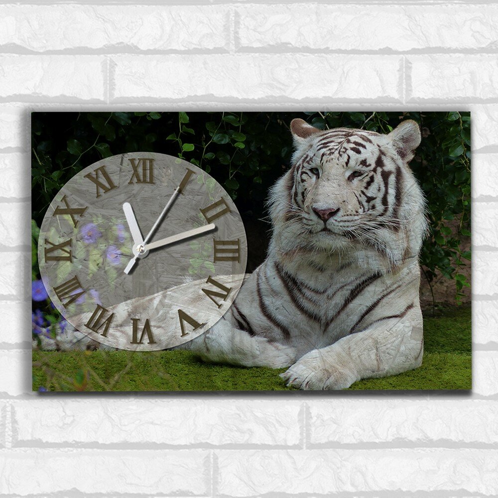 Настенные бесшумные часы ОСБ со смещенным циферблатом Животные Тигр (Кот, цветы милота, Подарок для мамы, бабушки сестры, подруге) - 2563