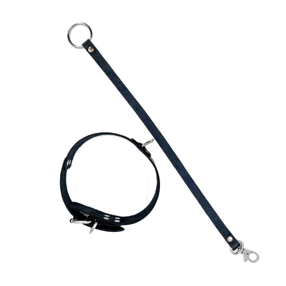 Ошейник «Эролайф» с поводком, черный